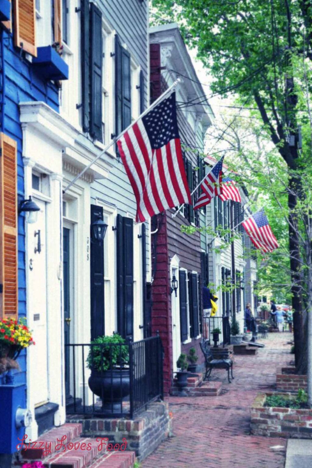 American Flag Colors History | Lizzy Loves Food