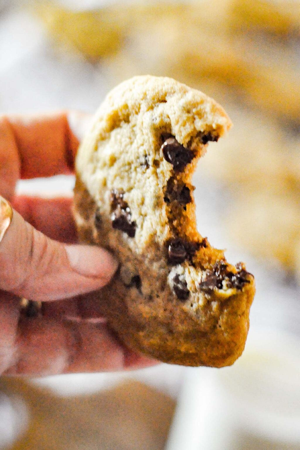 Mini Chocolate Chip Cookies: American Classic | Lizzy Loves Food