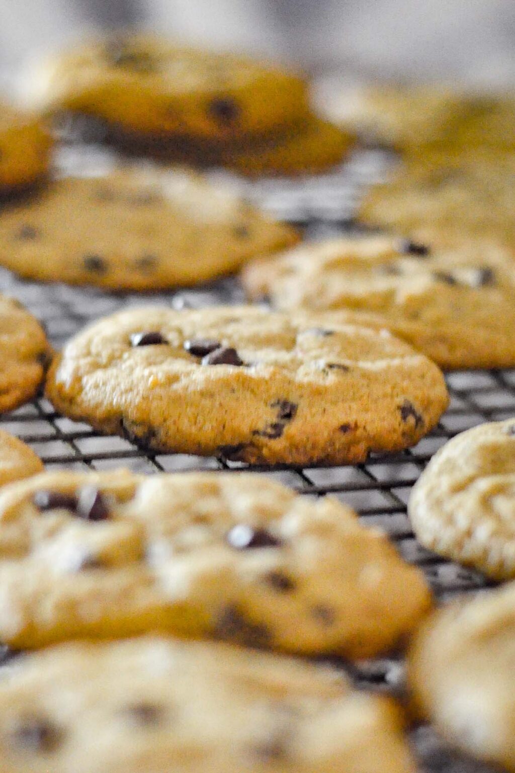 Mini Chocolate Chip Cookies: American Classic | Lizzy Loves Food